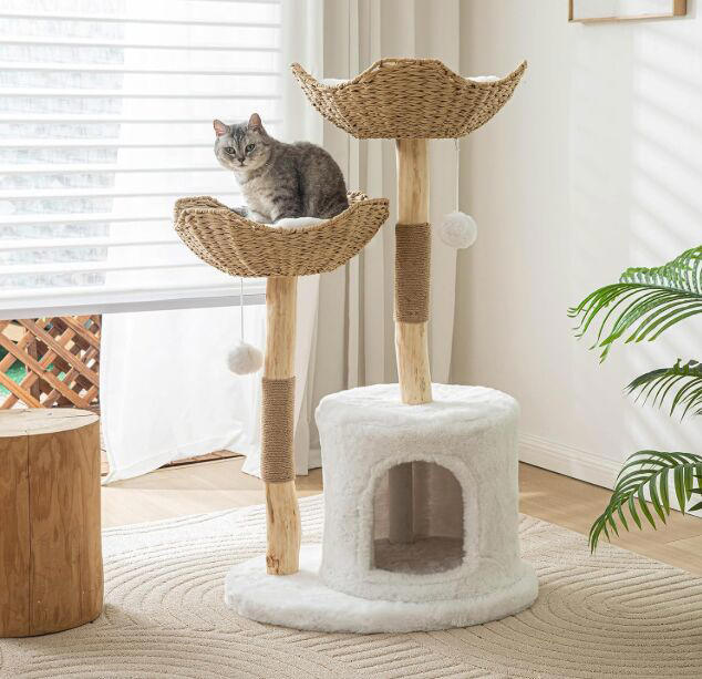 3 signs your indoor cat is bored (and how to fix it)