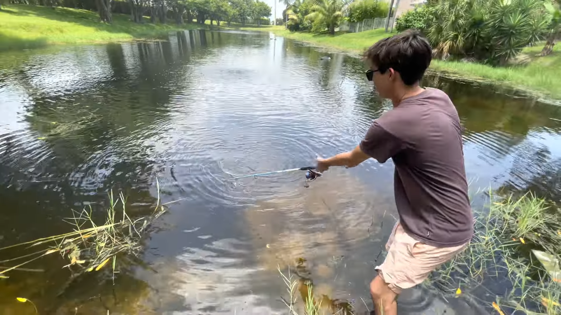 They thought it was just a spot until fish started attacking everywhere ...