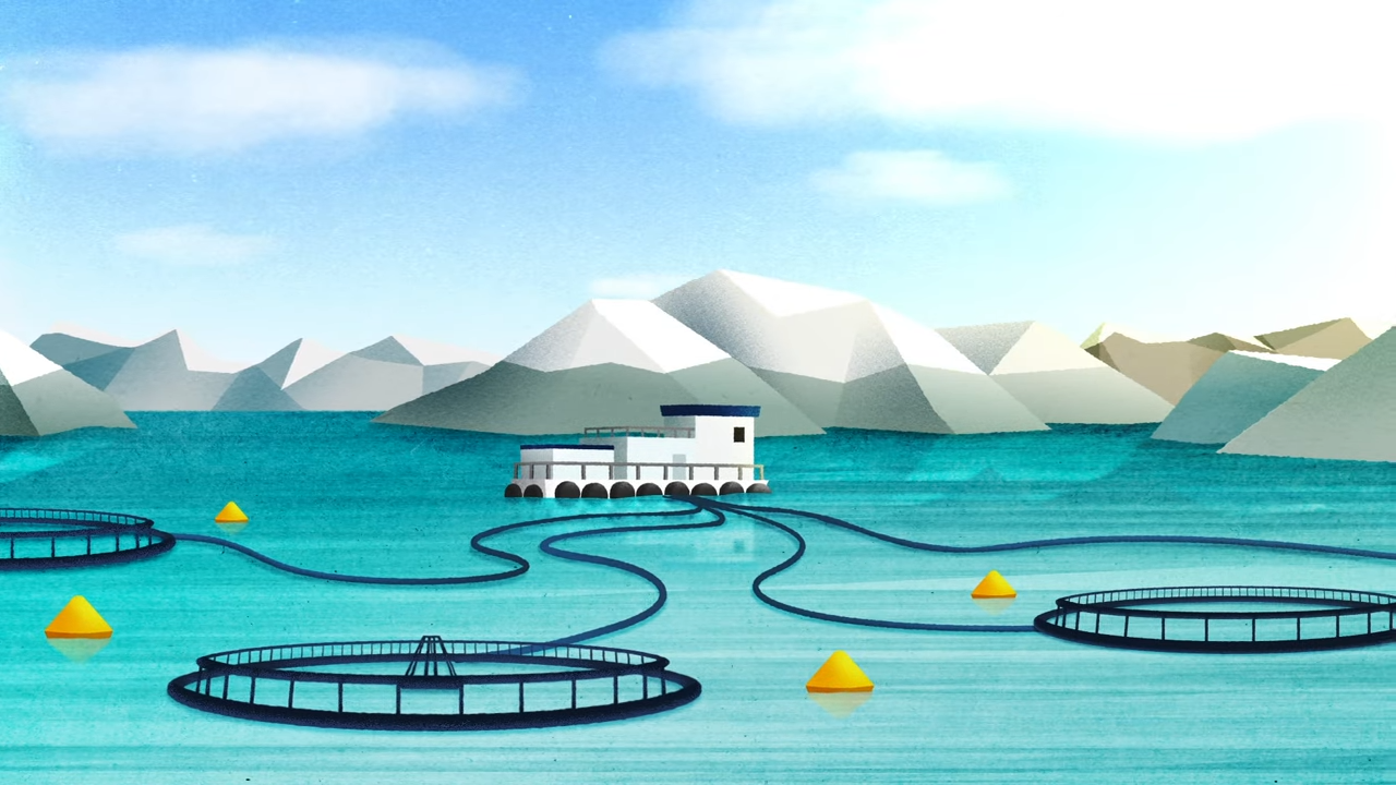 They built farms underwater - then 25 tons of food grew in 5 months