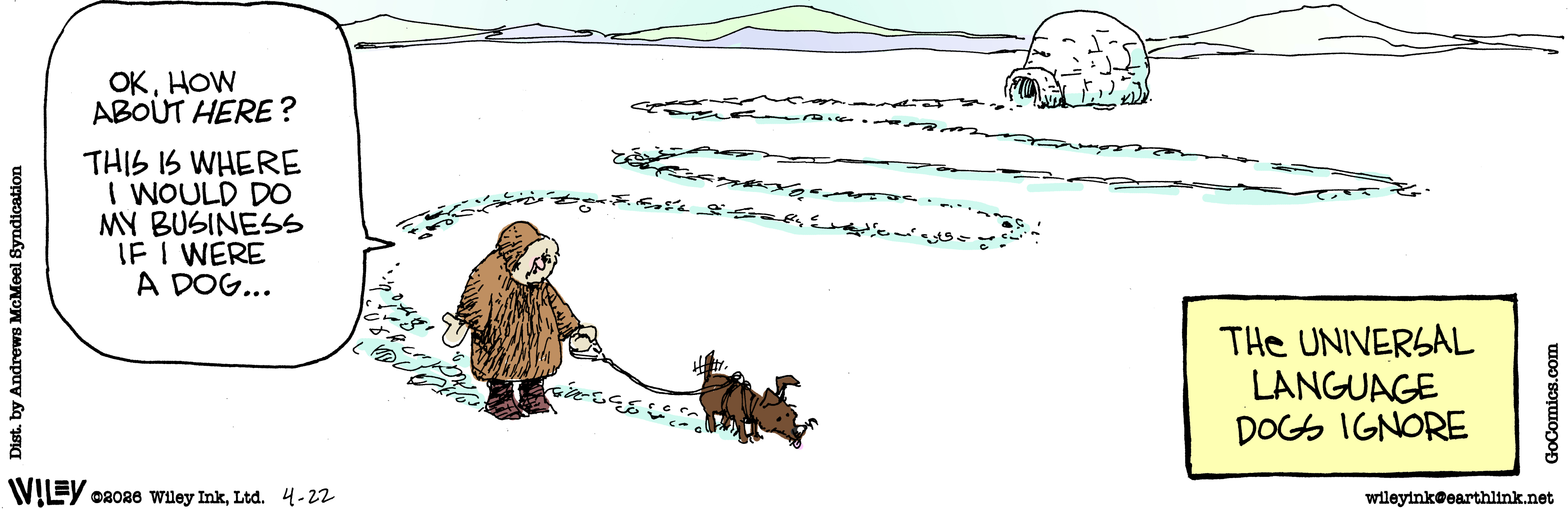 Non Sequitur by Wiley Miller