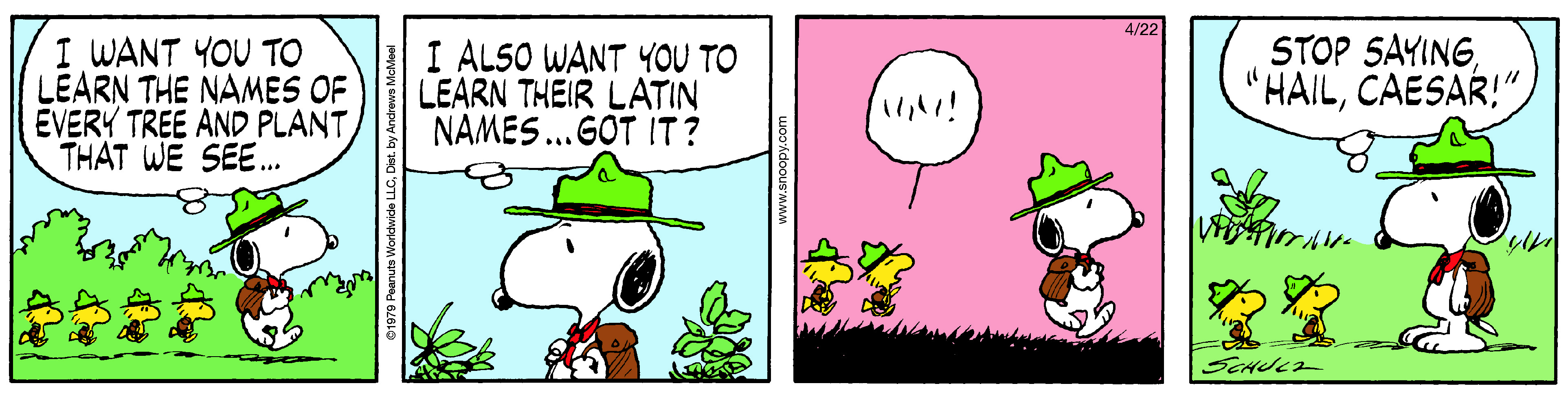 Peanuts by Charles Schulz