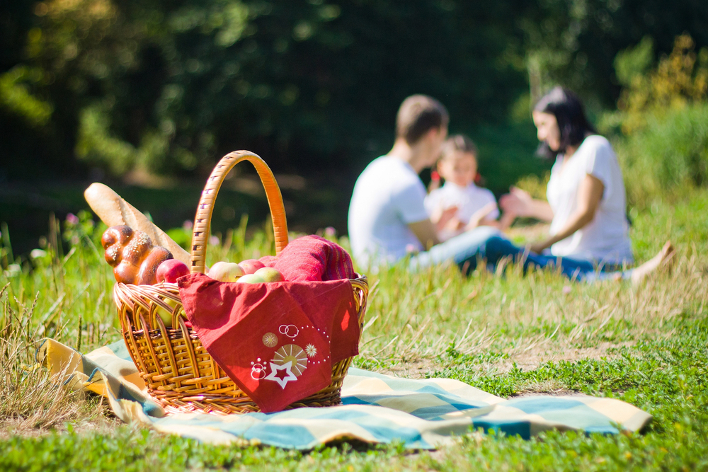16 ideas for a fun frugal spring picnic on a shoestring budget