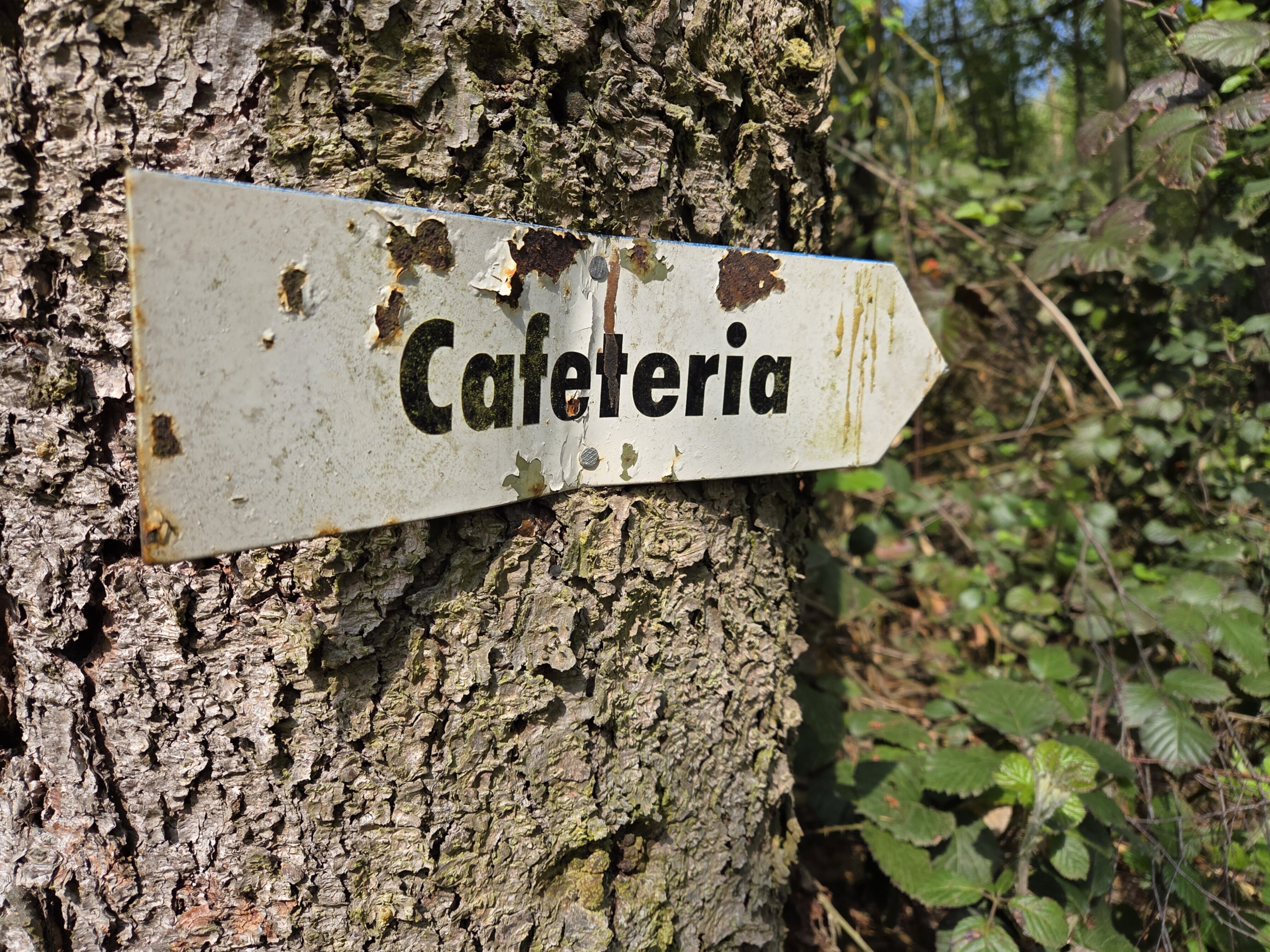 So sieht es jetzt im Lahey-Park aus