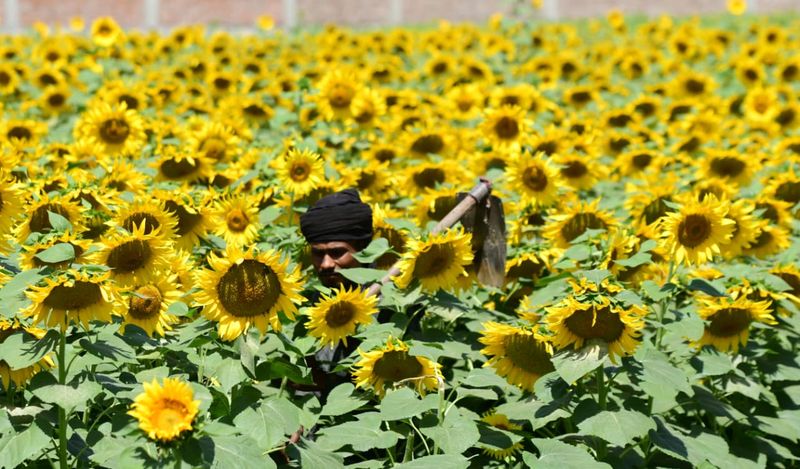 Photos of the day: Top news images & highlights from today