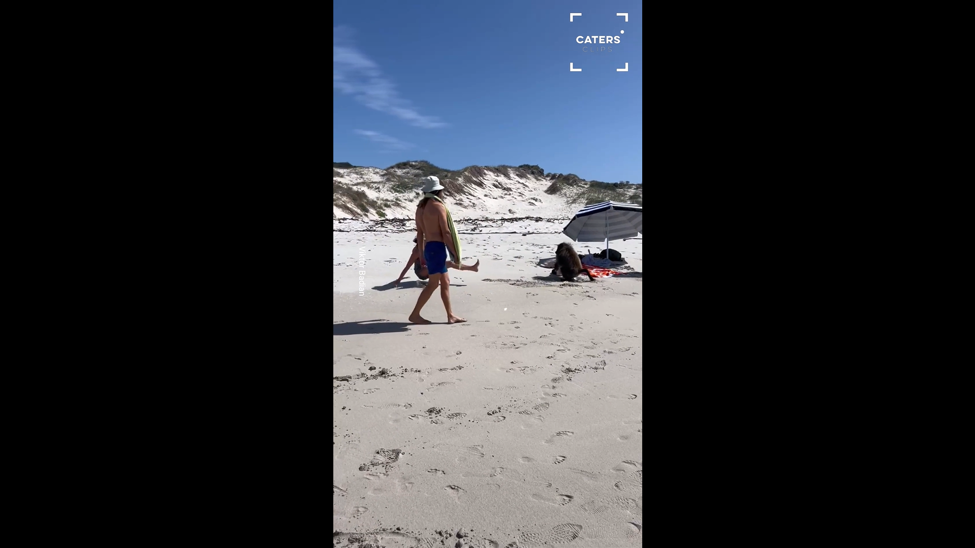 Baboon steals food from tourists during beach picnic in Cape Town
