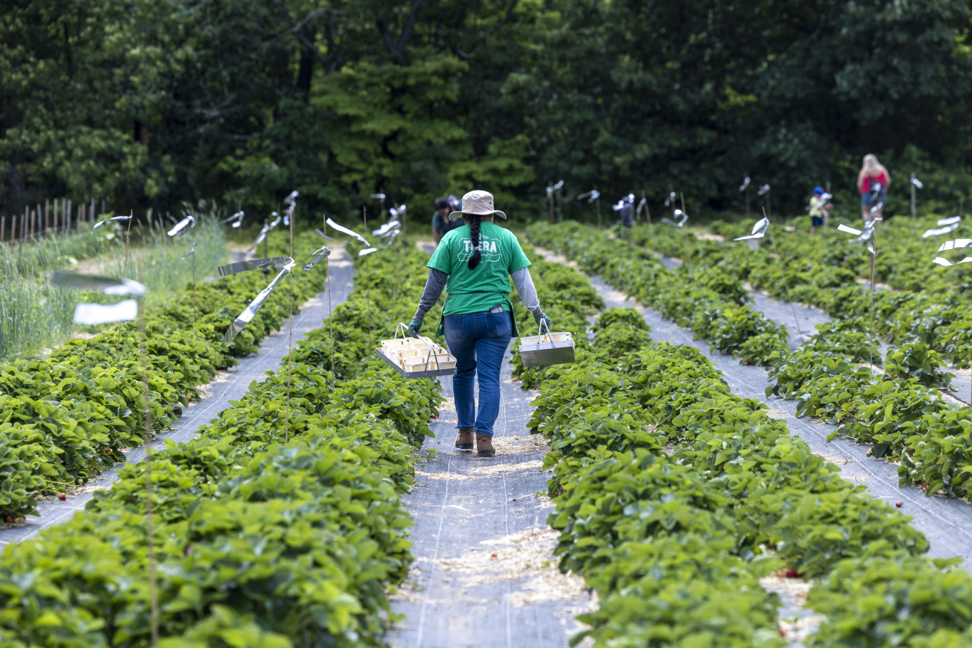 Countries with the most resilient food systems