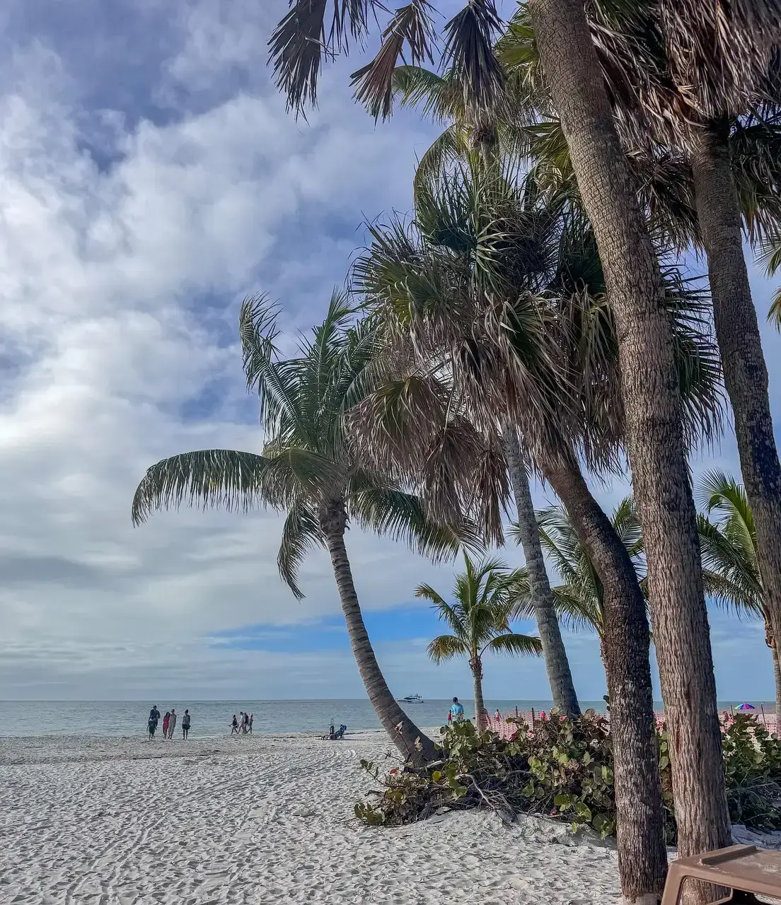 12 senior-friendly cities boomers prefer for great food and dining variety