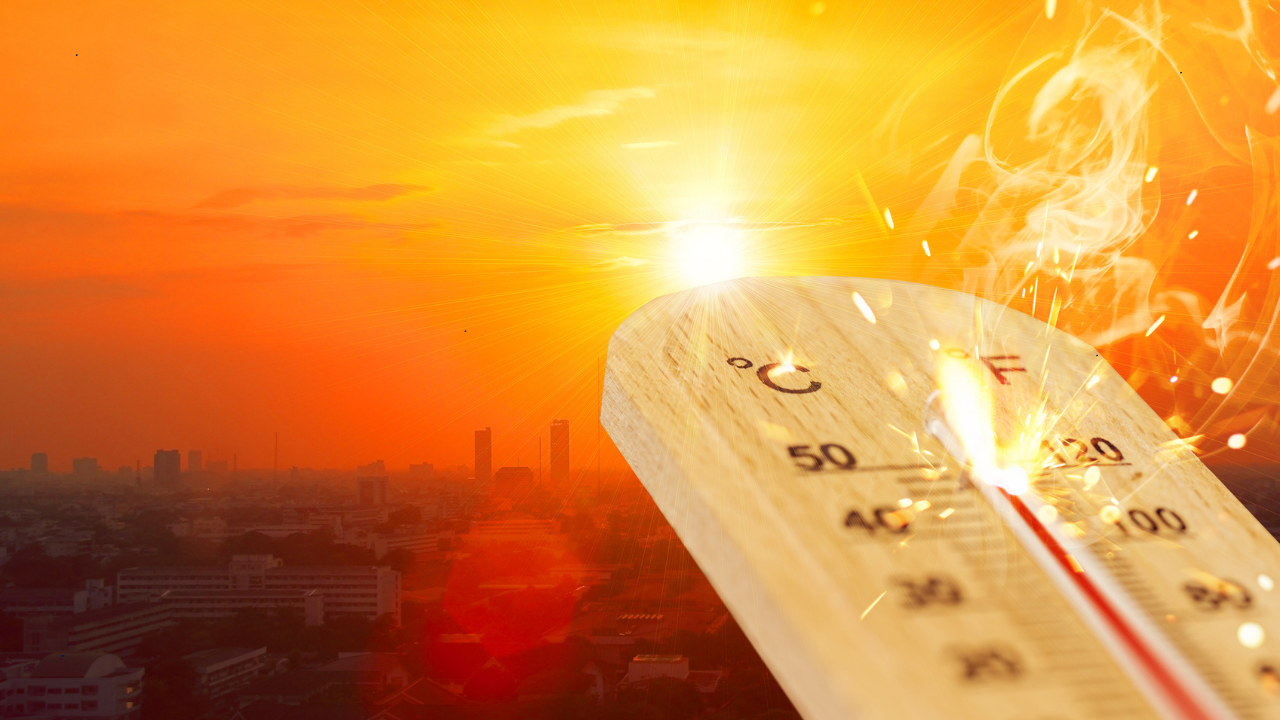 Heatwave in India: Delhi govt issues advisory for schools, urges ...