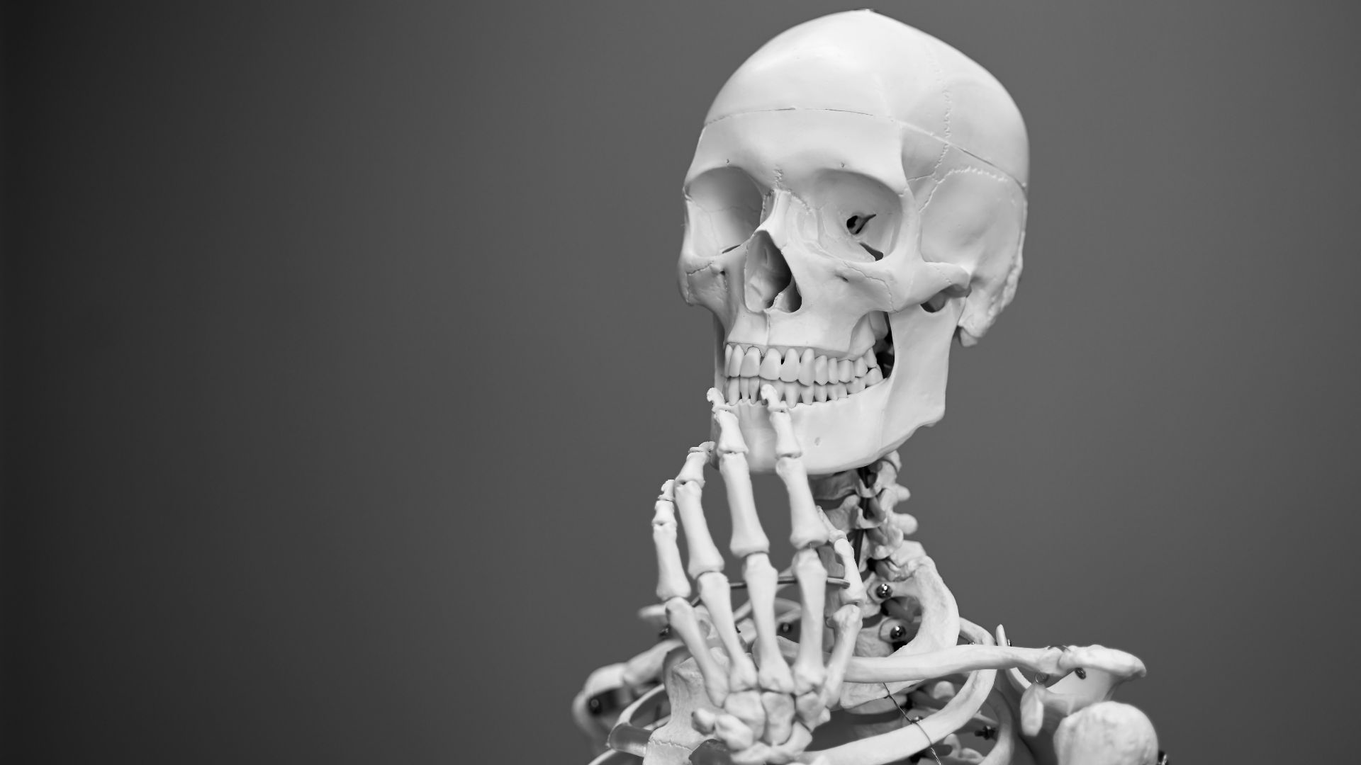 20 fossil discoveries that forced scientists to completely rewrite ...