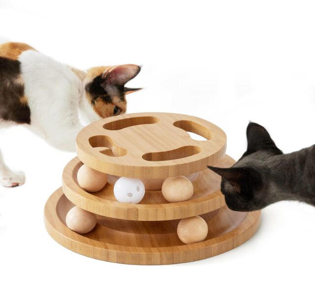 3 signs your indoor cat is bored (and how to fix it)