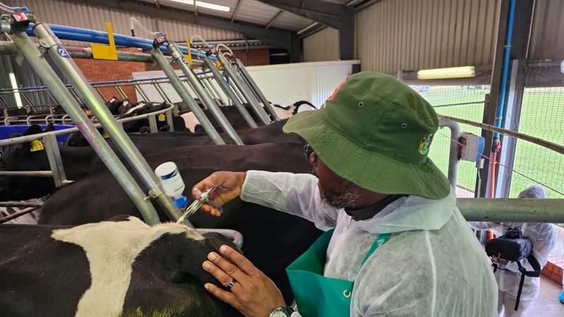 Slow foot-and-mouth vaccination pace: Farmers warn of impending ...
