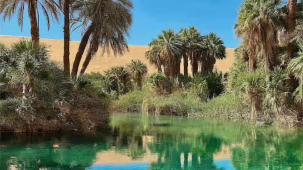 7 countries in the world without any river: Check their location, names