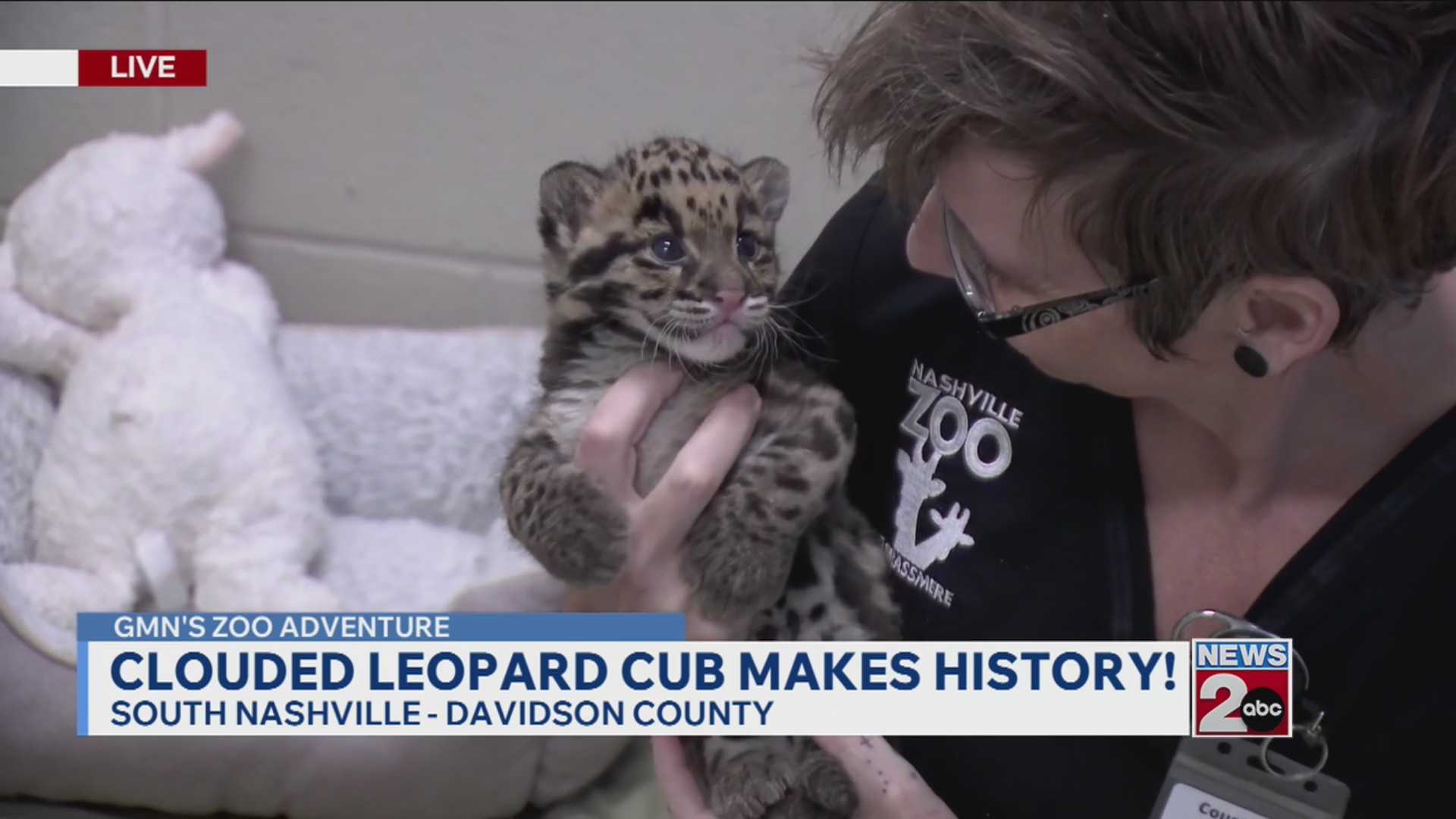 Nashville Zoo reveals clouded leopard cub's name