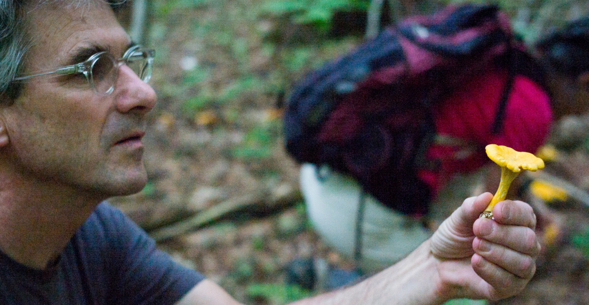 The world’s most expensive mushrooms