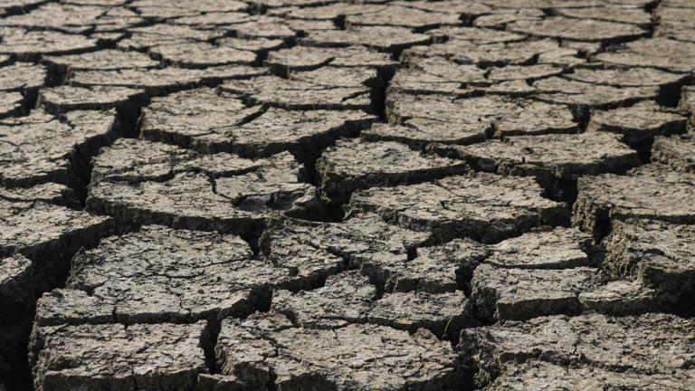 Florida drought hits worst level in 15 years as rainfall deficits deepen