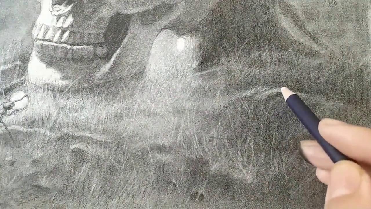 Realistic graphite skull drawing with soft shading and dark atmospheric ...