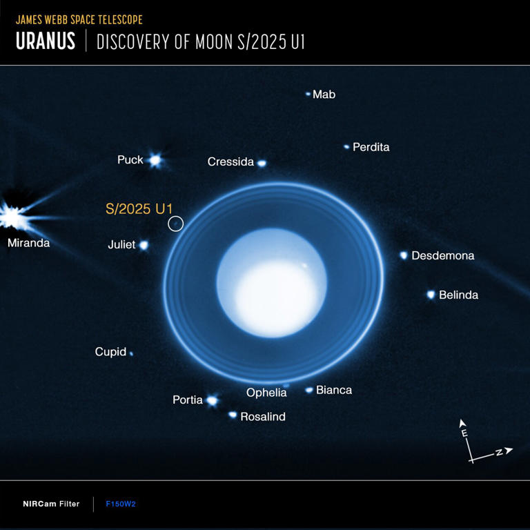 Mysterious rings around Uranus point to hidden moons orbiting the ice giant