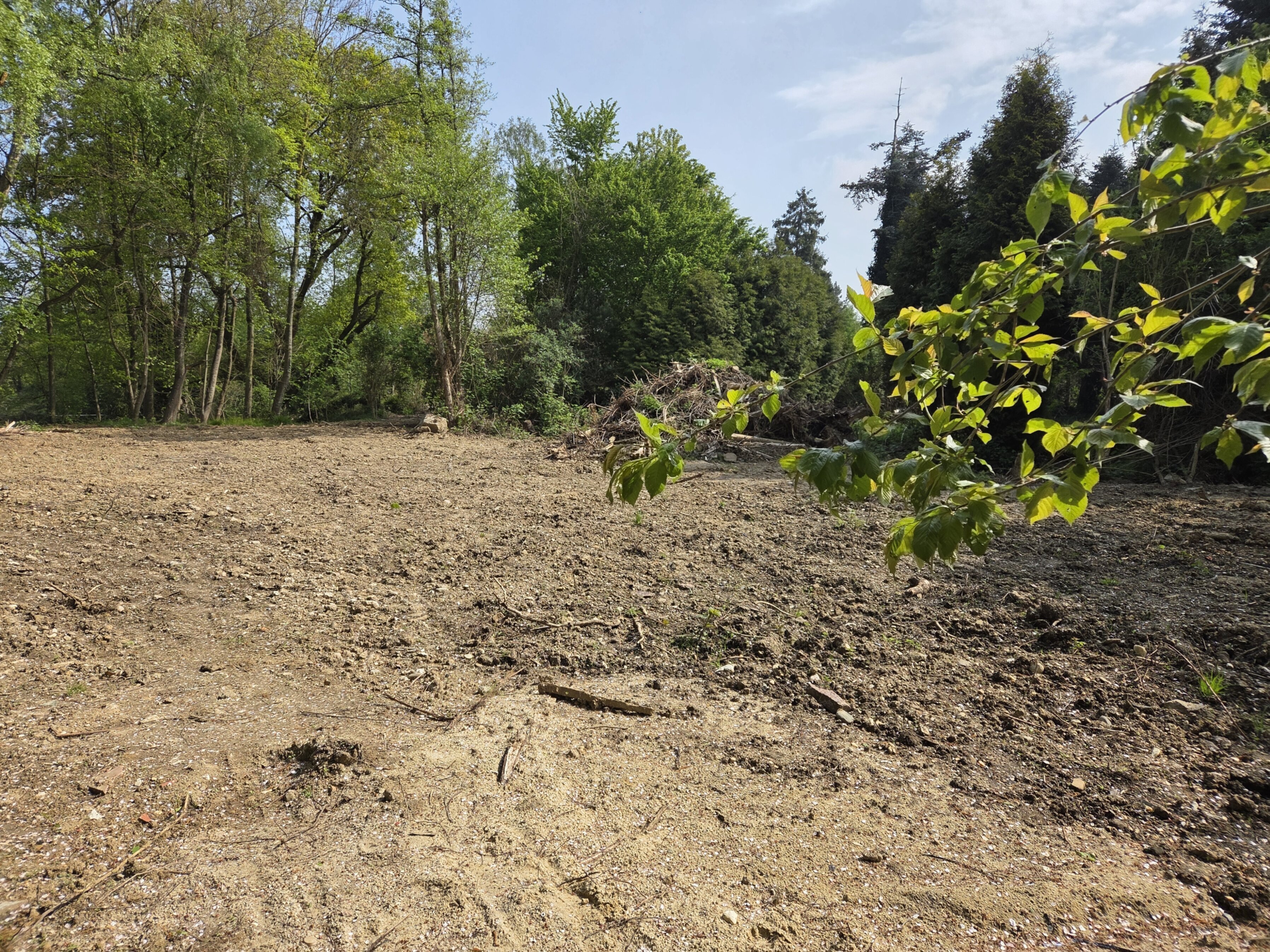 So sieht es jetzt im Lahey-Park aus