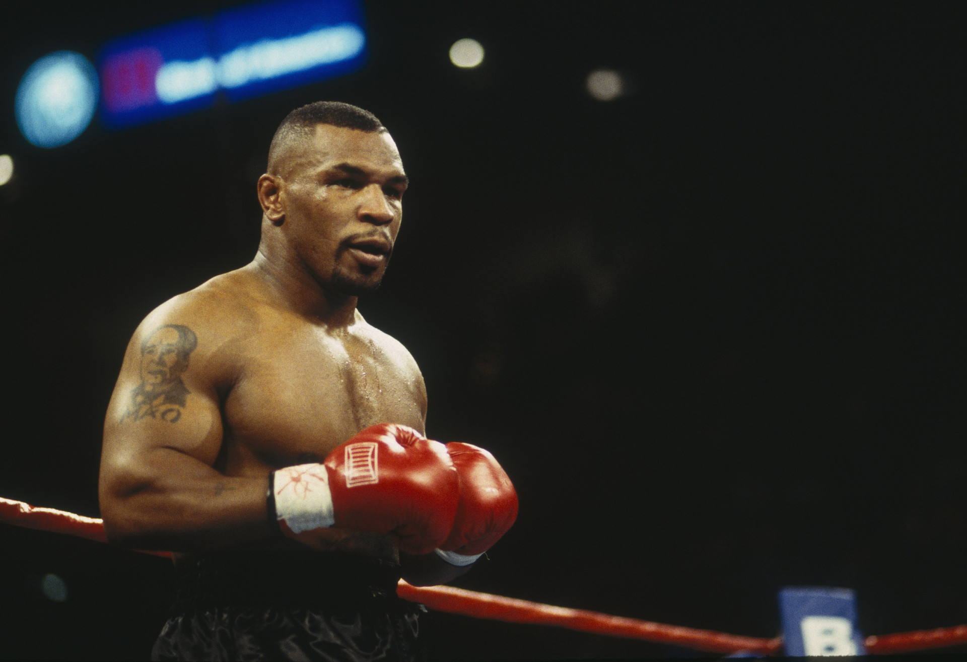 The greatest boxers of all time (and what made them so good)