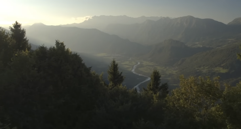 How a trillion trees could change the future of Earth