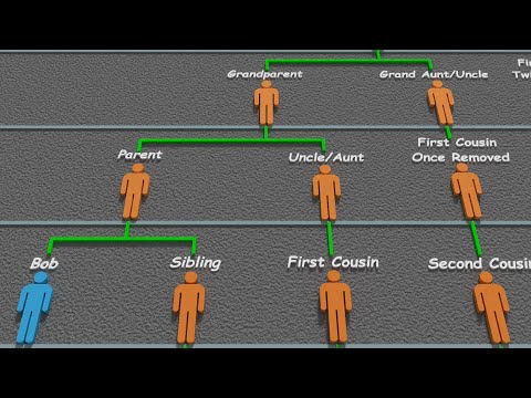 The family tree: second cousins