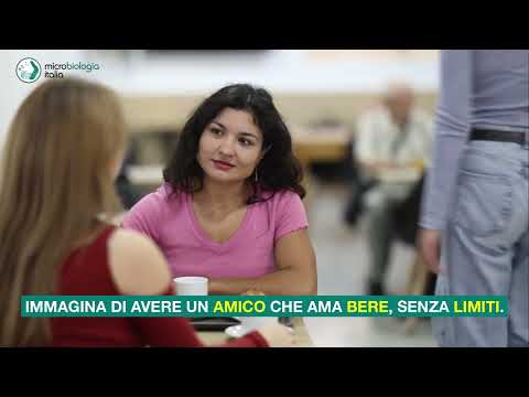 Quanto alcol bere a cena senza effetti dannosi al fegato
