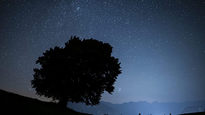 Esta noite, o céu vai brilhar: até 23 estrelas cadentes por hora sobre ...
