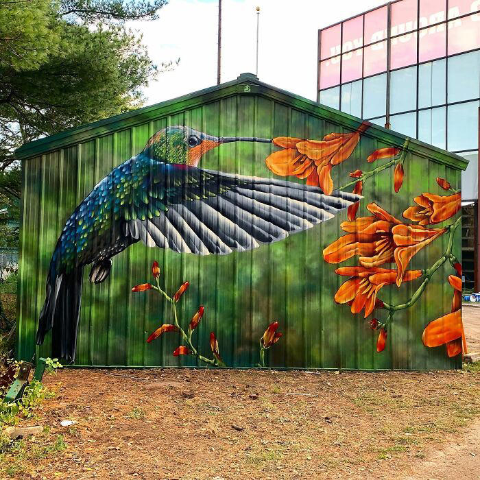 48 bold murals that turn streets and buildings into art