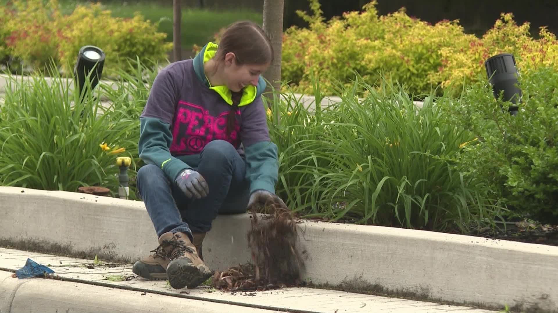 Long version: The history and evolution of Earth Day