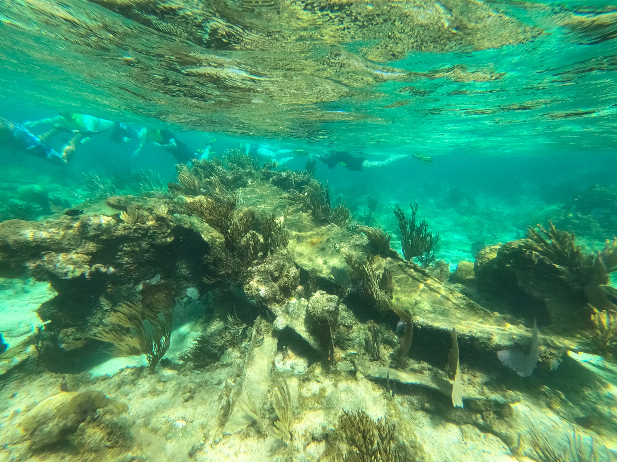 Photos of eerie shipwrecks you can scuba dive