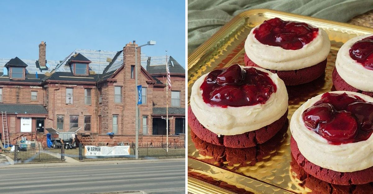 DeKalb Illinois just got sweeter with homemade mini cheesecakes