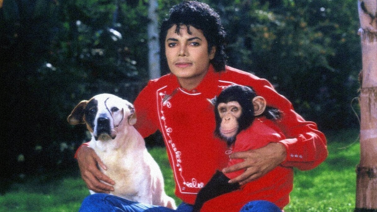 How many pets did Michael Jackson have? These are all the animals that ...