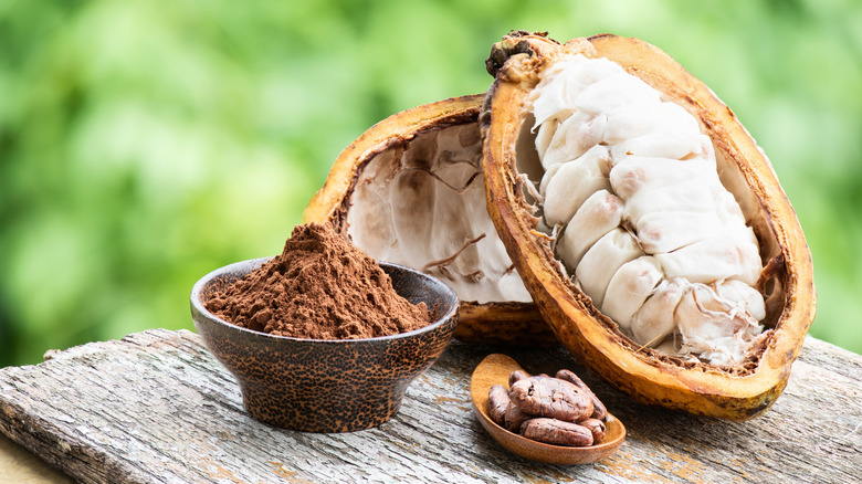 Cacao fruit: What does it taste like and how do we get chocolate from it?