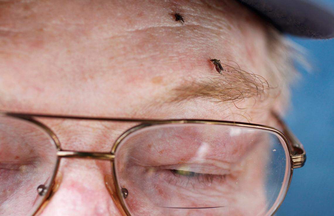 Ticks, mosquitos and chiggers are out in NC. Here's how to protect yourself