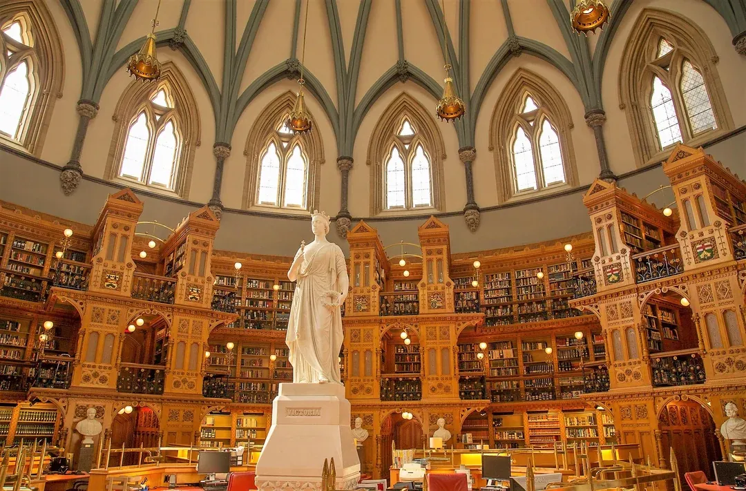 People share stunning libraries worth visiting