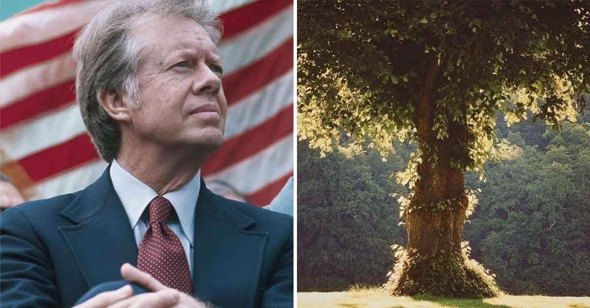 20 'fake sounding' facts that are very much real