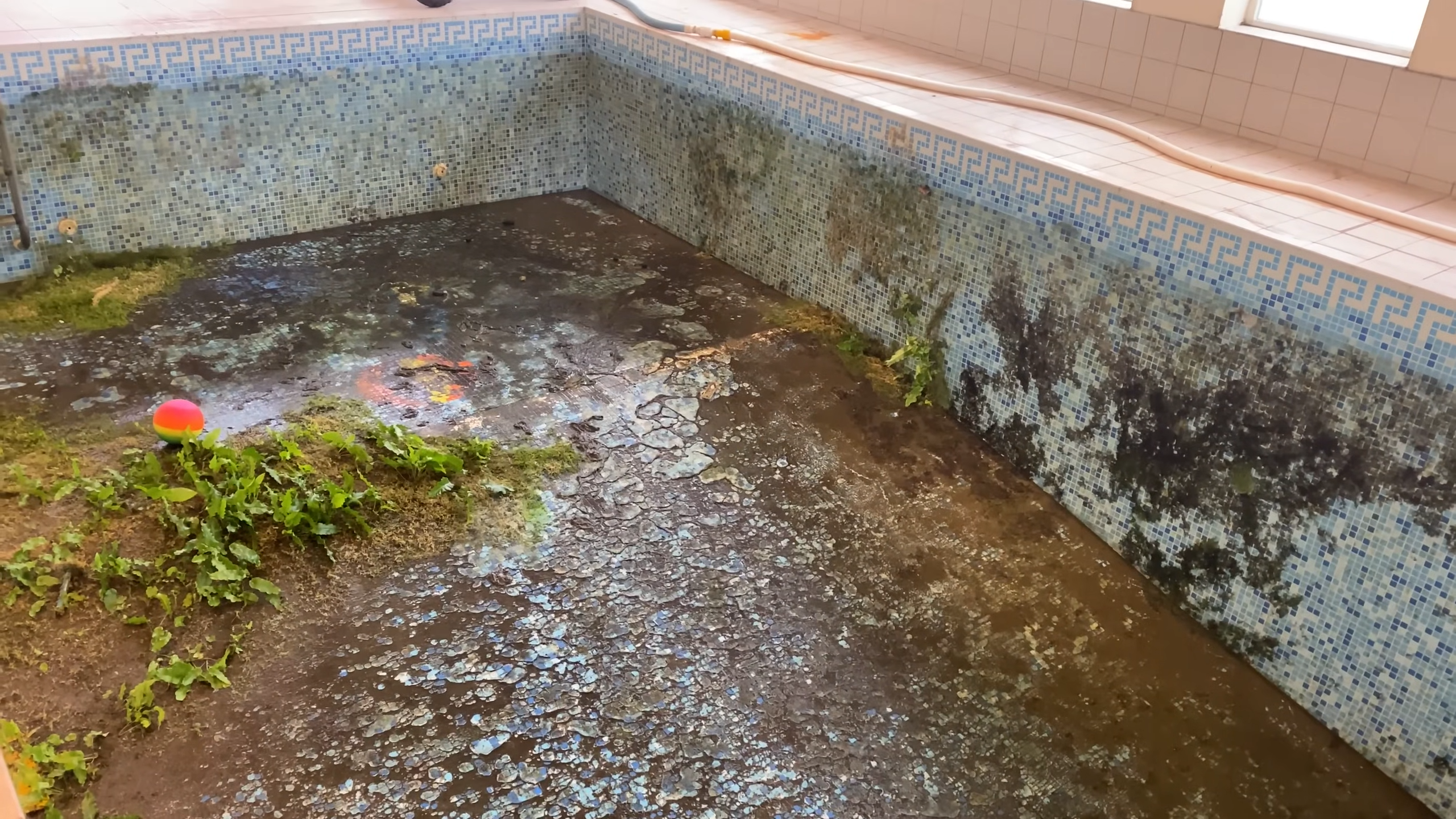 What happens when an indoor pool is surrounded by plants?