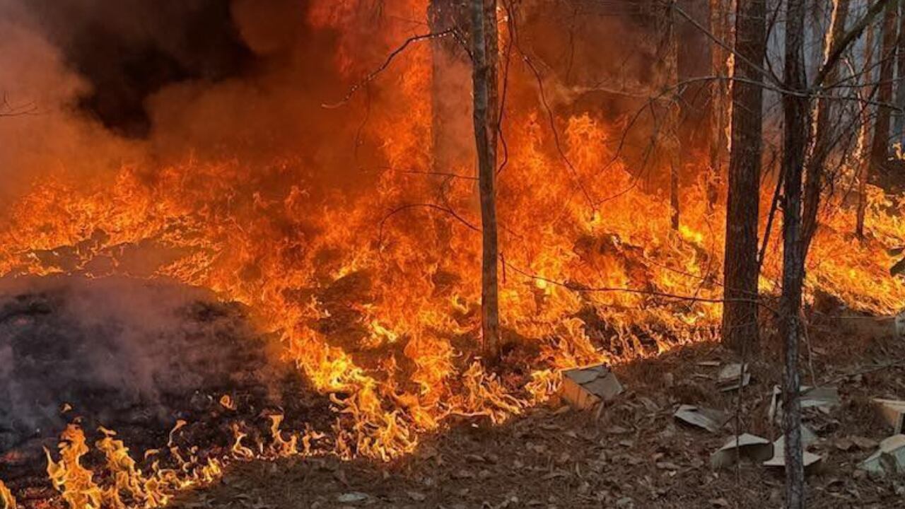 Crews contain Camden-area woods fire