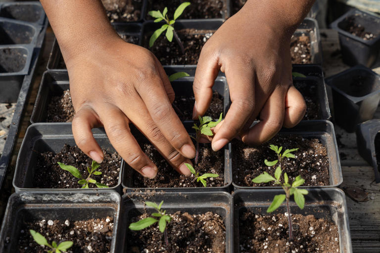 It's Earth Day. See IndyStar's latest coverage about the environment