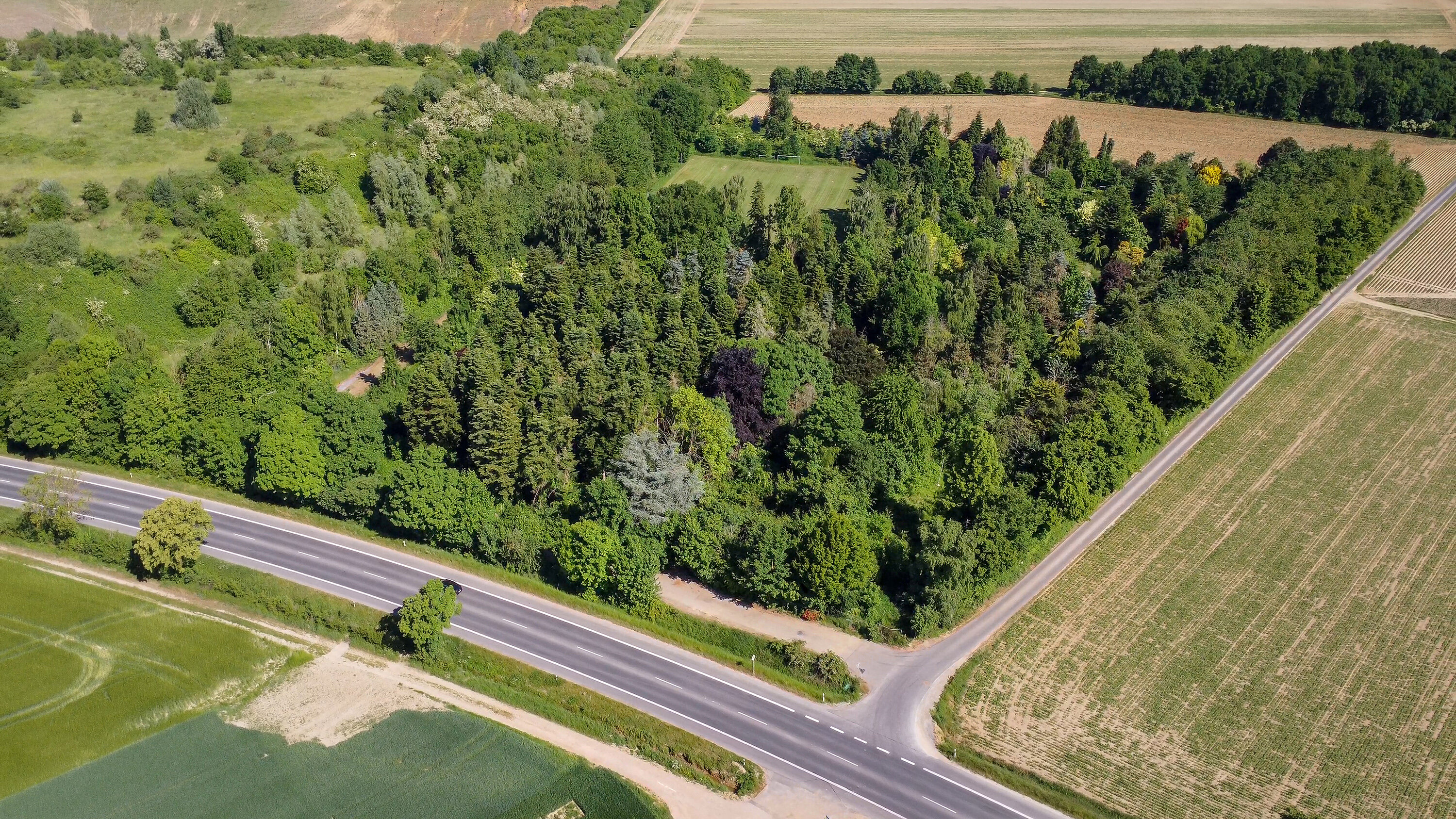 So sieht es jetzt im Lahey-Park aus
