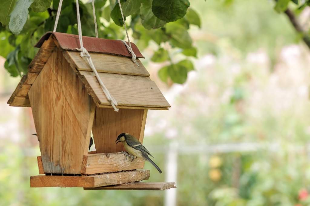 The curator: The best birdfeeders to attract backyard birds