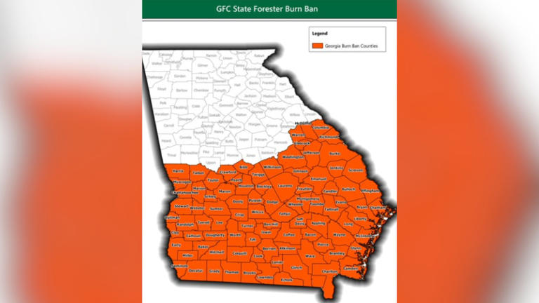 Mandatory burn ban issued for all of South, most of Middle Georgia