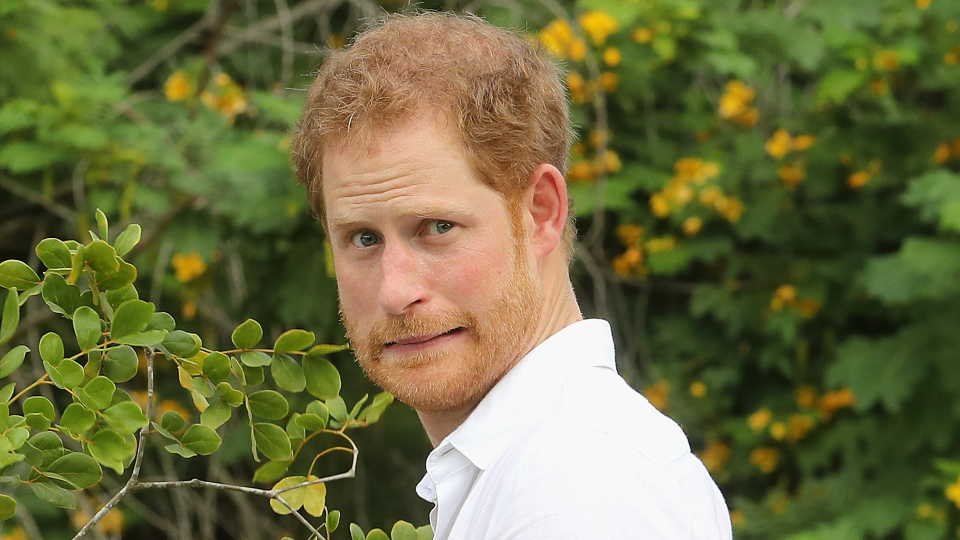 Prince William and Prince Harry: Inside the royal brothers’ painful fallout