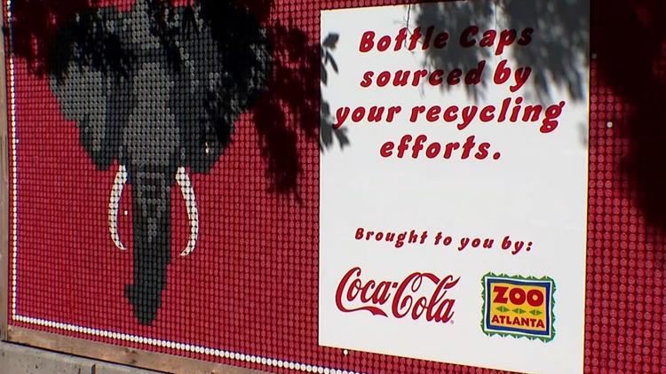 Zoo Atlanta partners with Proof of the Pudding to protect the planet