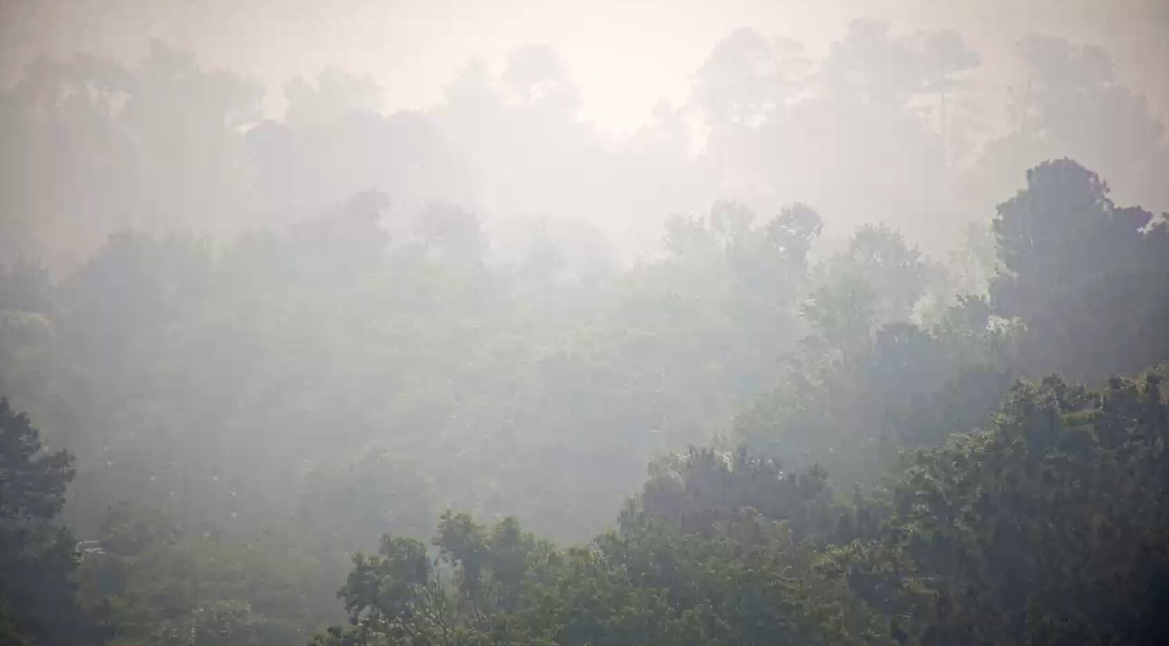 Notice the smoke? South Ga. wildfire pushes haze into CSRA