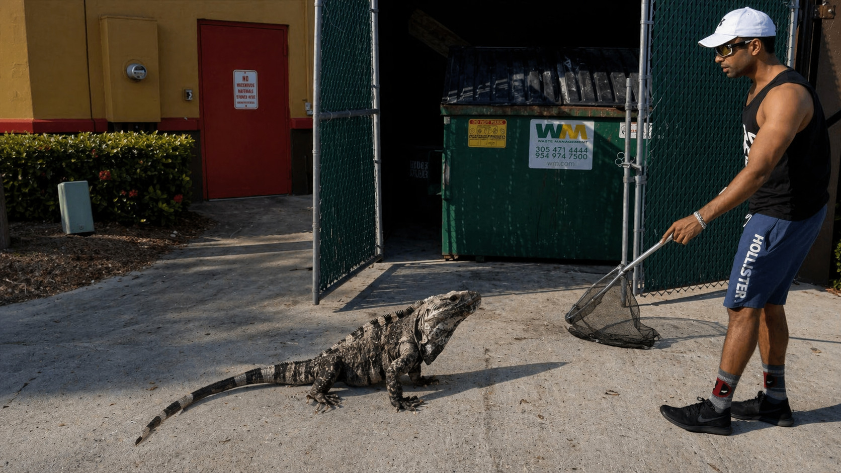 He saw a golden iguana then realized how rare it was, caught on camera