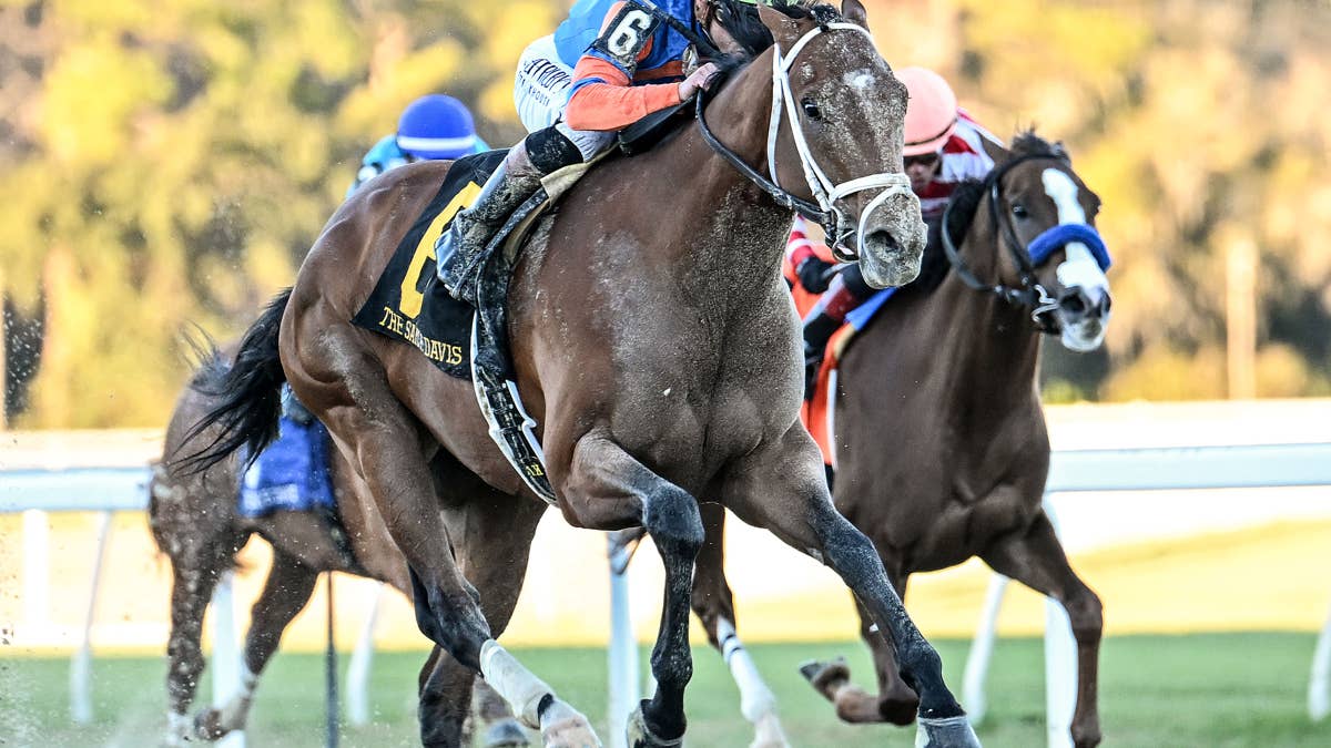 Attendance up for 100th live racing meet at Tampa Bay Downs