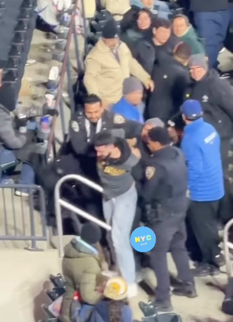 Mets, Twins fans engage in wild brawl as losing streak balloons to 12
