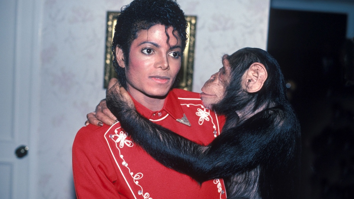 How many pets did Michael Jackson have? These are all the animals that ...