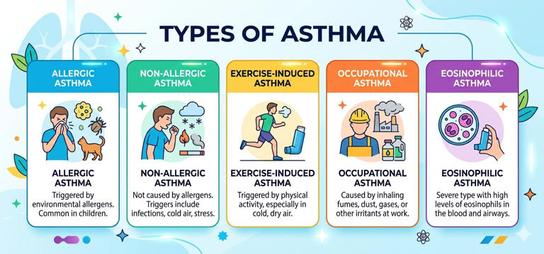 What is asthma? Types, symptoms, causes, and treatment explained